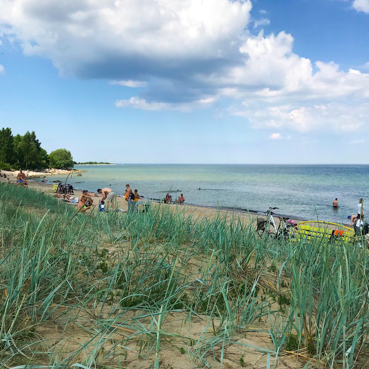 Troopika – Ebapärlikarp